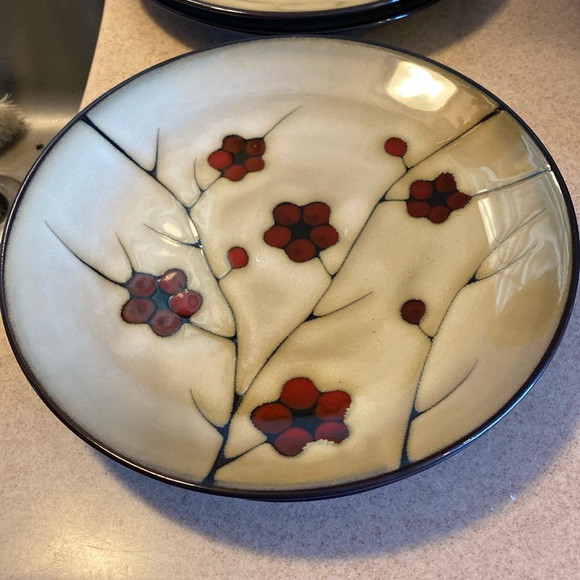 Pfaltzgraff | Dining | Pfaltzgraff Studios Aster Set Of 2 Dinner ...
